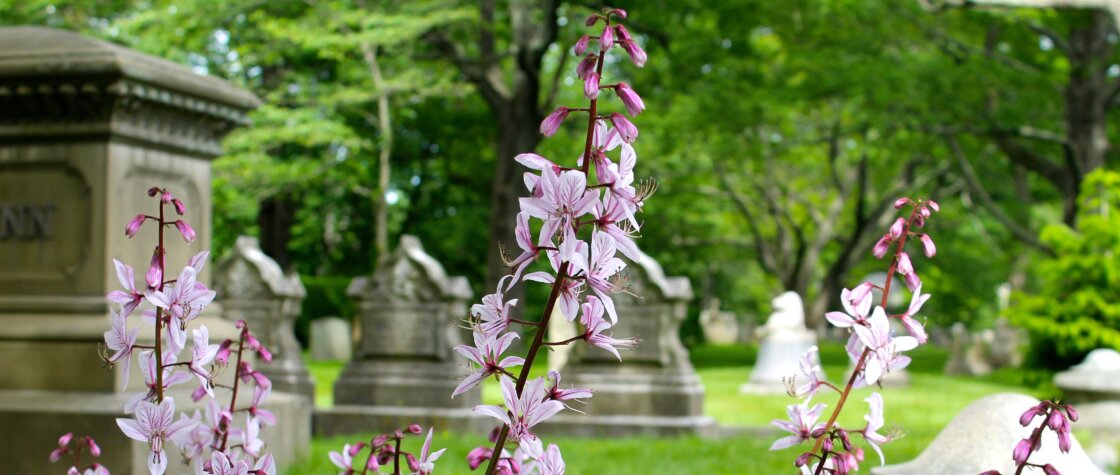 Mount Auburn Cemetery – Mount Auburn Cemetery